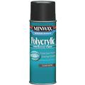 SPRAY POLYCRYLIC WB SAT 11.5OZ 063872 - TDC Limited