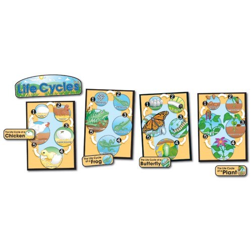 BULLETIN BOARD LIFE CYCLE 149122 - TDC Limited