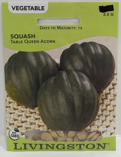 SEEDS SQUASH MAMMOTH TABLE 115754 - TDC Limited