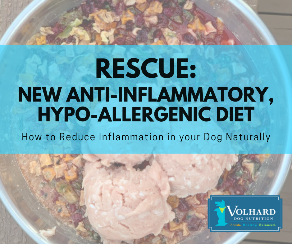 Rescue: Volhard’s New Hypo-Allergenic, Anti-Inflammatory Diet: The ...