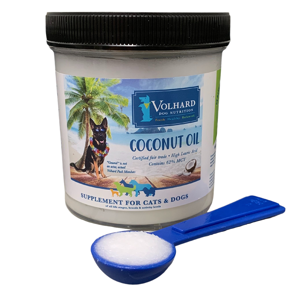 How Often Can I Apply Coconut Oil To My Dogs Skin