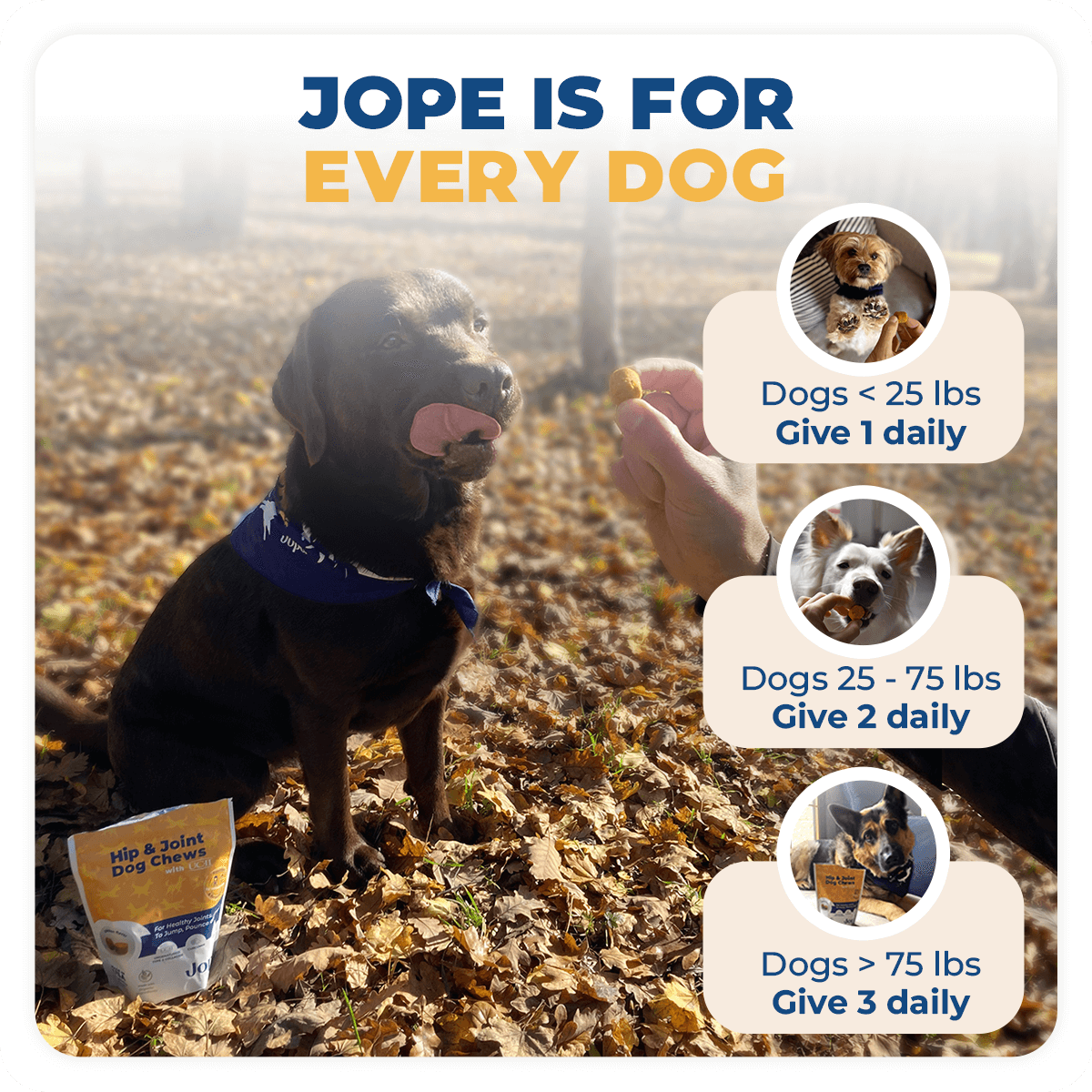 Jope Hip & Joint Dog Chews - 60 Count - Volhard Dog Nutrition