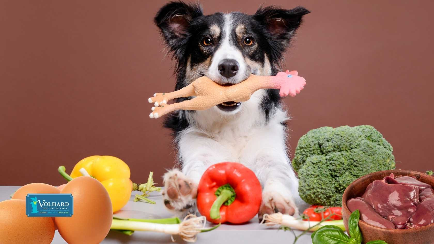 What Herbs and Spices Can Dogs Have? (A Complete Guide) - Volhard Dog ...