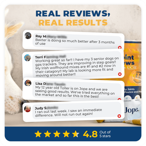 Jope Hip & Joint Dog Chews - 60 Count - Volhard Dog Nutrition