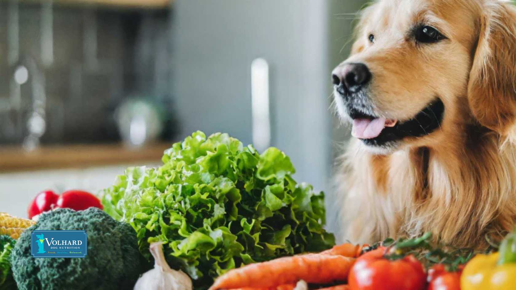What Herbs and Spices Can Dogs Have? (A Complete Guide) - Volhard Dog ...