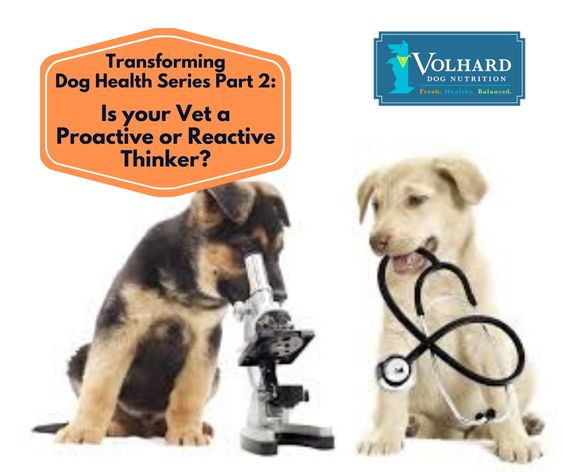 Transforming Your Dog Health Series Part II: Is your Vet a Proactive or ...
