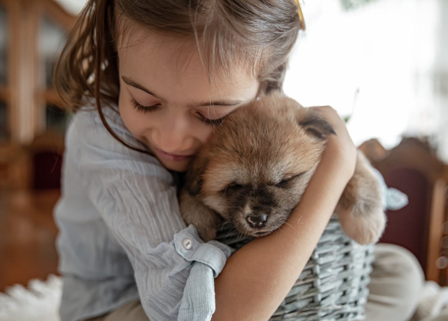 My Dog Has A Benign Tumor What Should I Do Volhard Dog Nutrition My Dog Has A Benign Tumor What Should I Do Volhard Dog Nutrition
