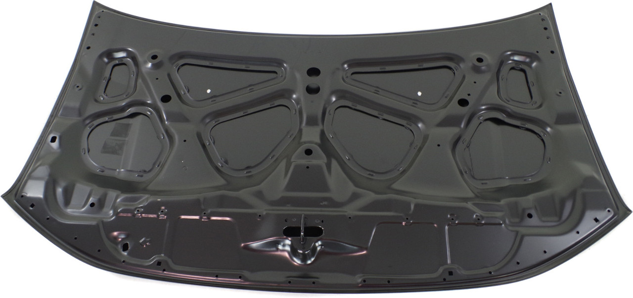 ELEMENT 03-08 HOOD - Busted Auto Parts
