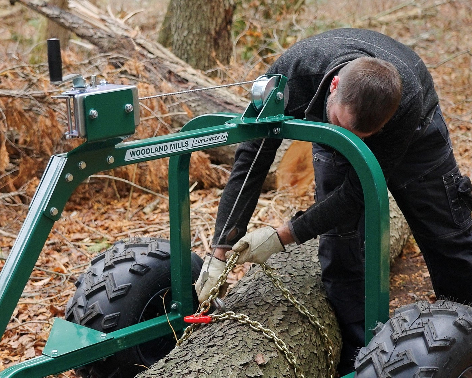 Loglander™ 28 Log Arch