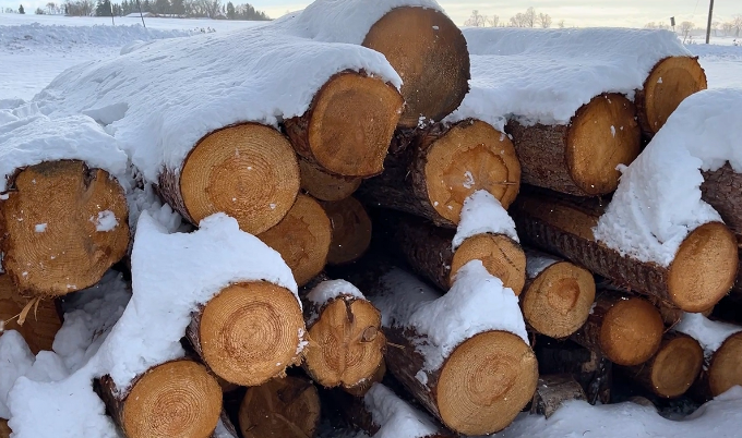 Milling Frozen Logs - Woodland Mills Canada