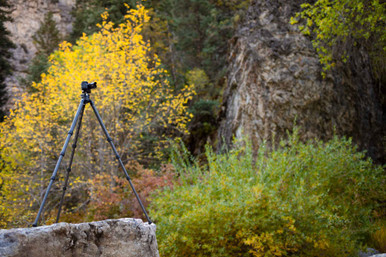 Versa-34L Tall Carbon Fiber Tripod: SureGrip™ Apex