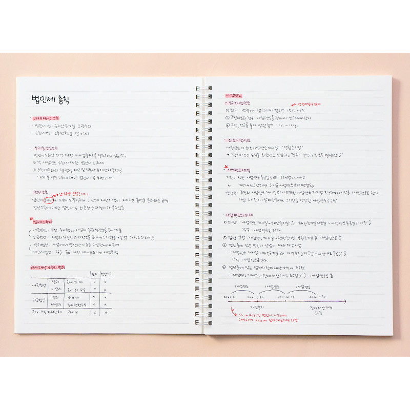 Indigo Basic B5 sprial binding lined notebook