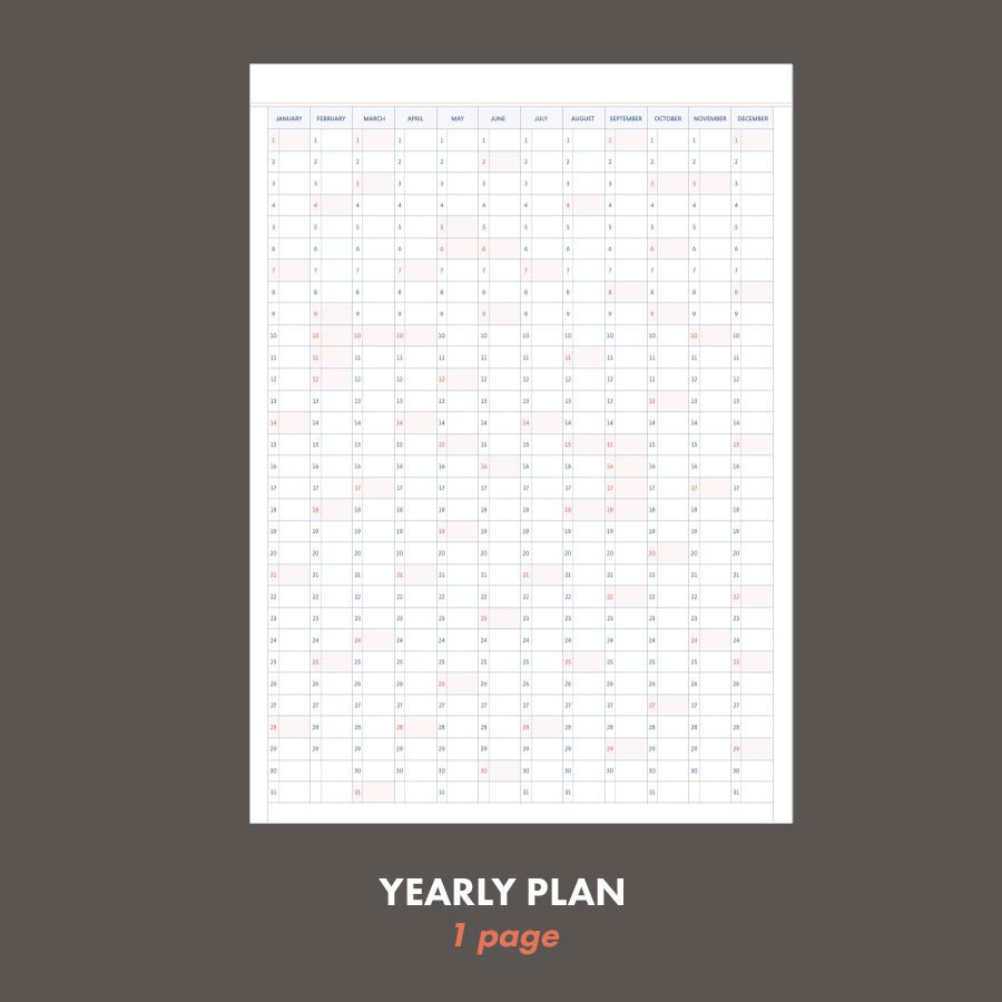 Iconic 2024 Record On A4 Dated Monthly Diary Planner