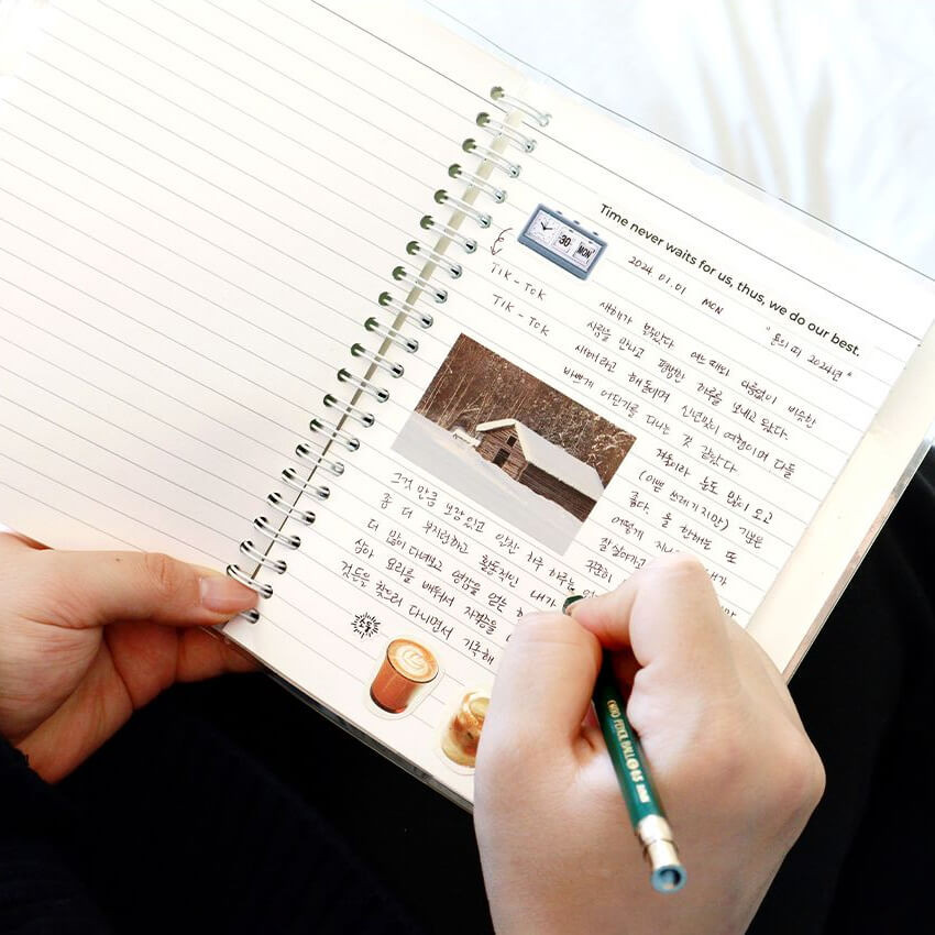 Indigo Storage 6 Month Undated Weekly Diary: Organize