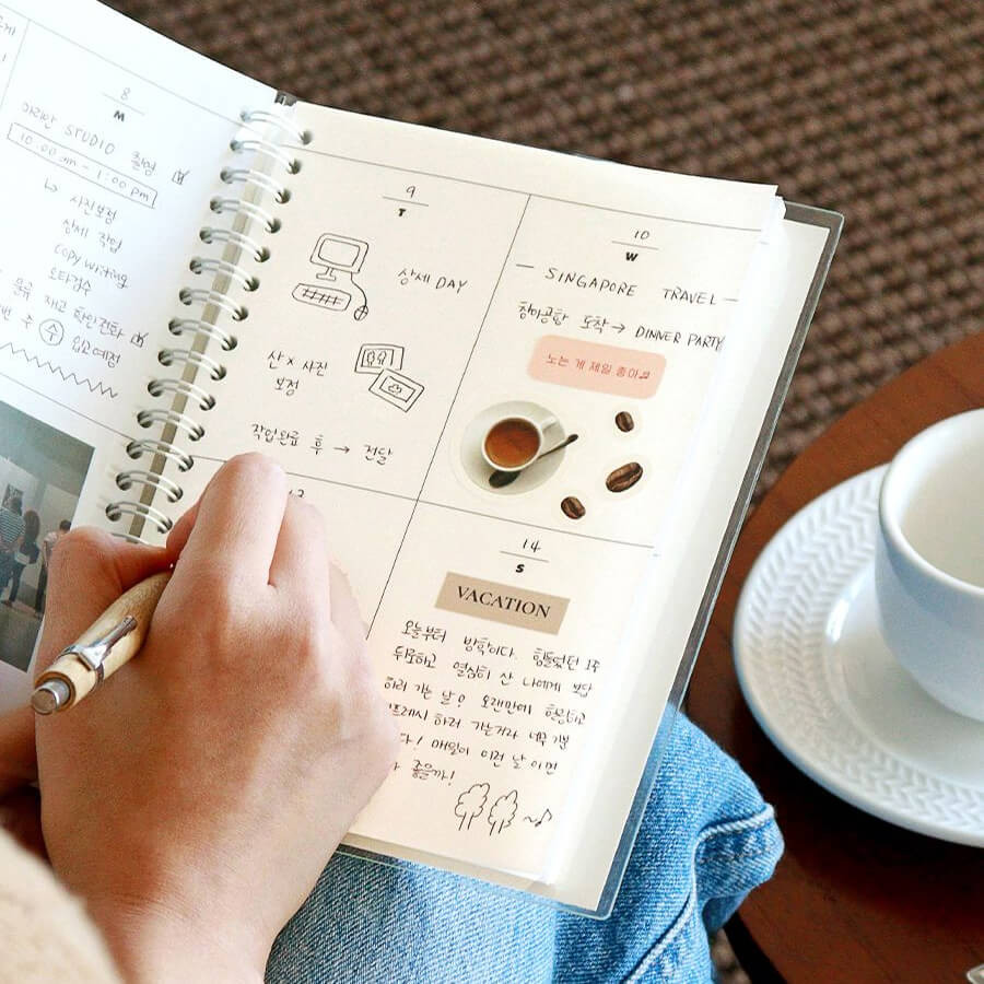 Indigo Storage 6 Month Undated Weekly Diary: Organize
