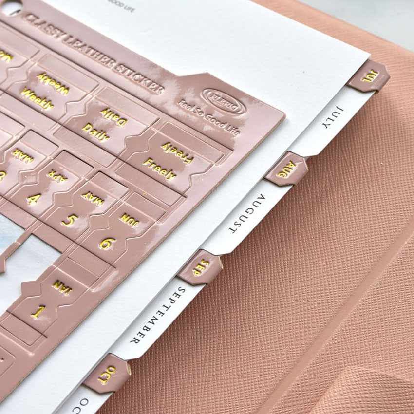 Plepic Classy Twinkle PU Index Sticker: Shine Bright Diary