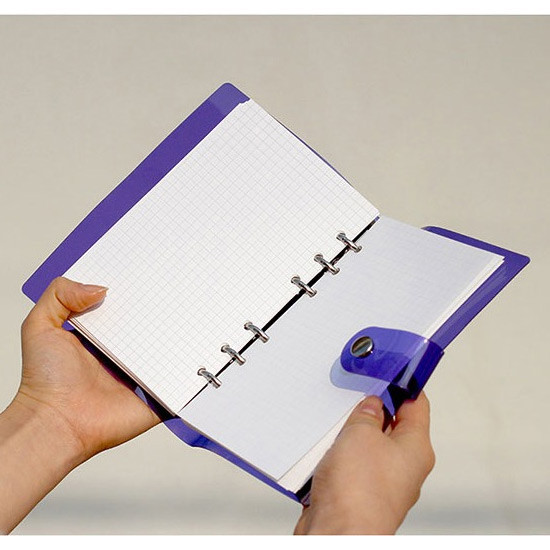 Lucalab Retro 6-ring grid notebook special edition - fallindesign