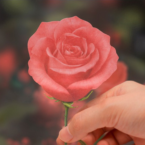 Appree Rose large sticky memo notes - Fallindesign.com