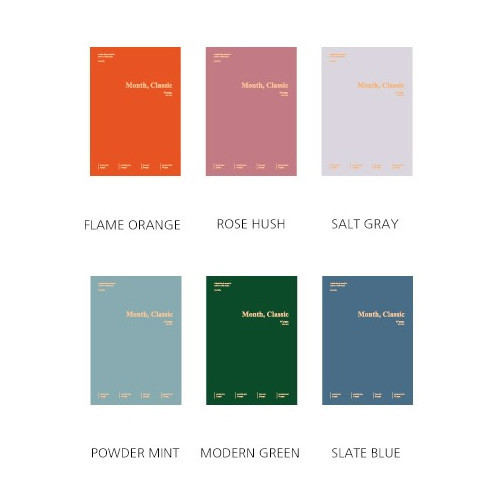 Wanna This 2019 Month classic large dated monthly planner