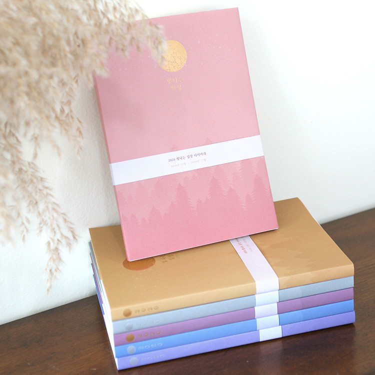 3AL 2020 Brighten day dated weekly diary planner