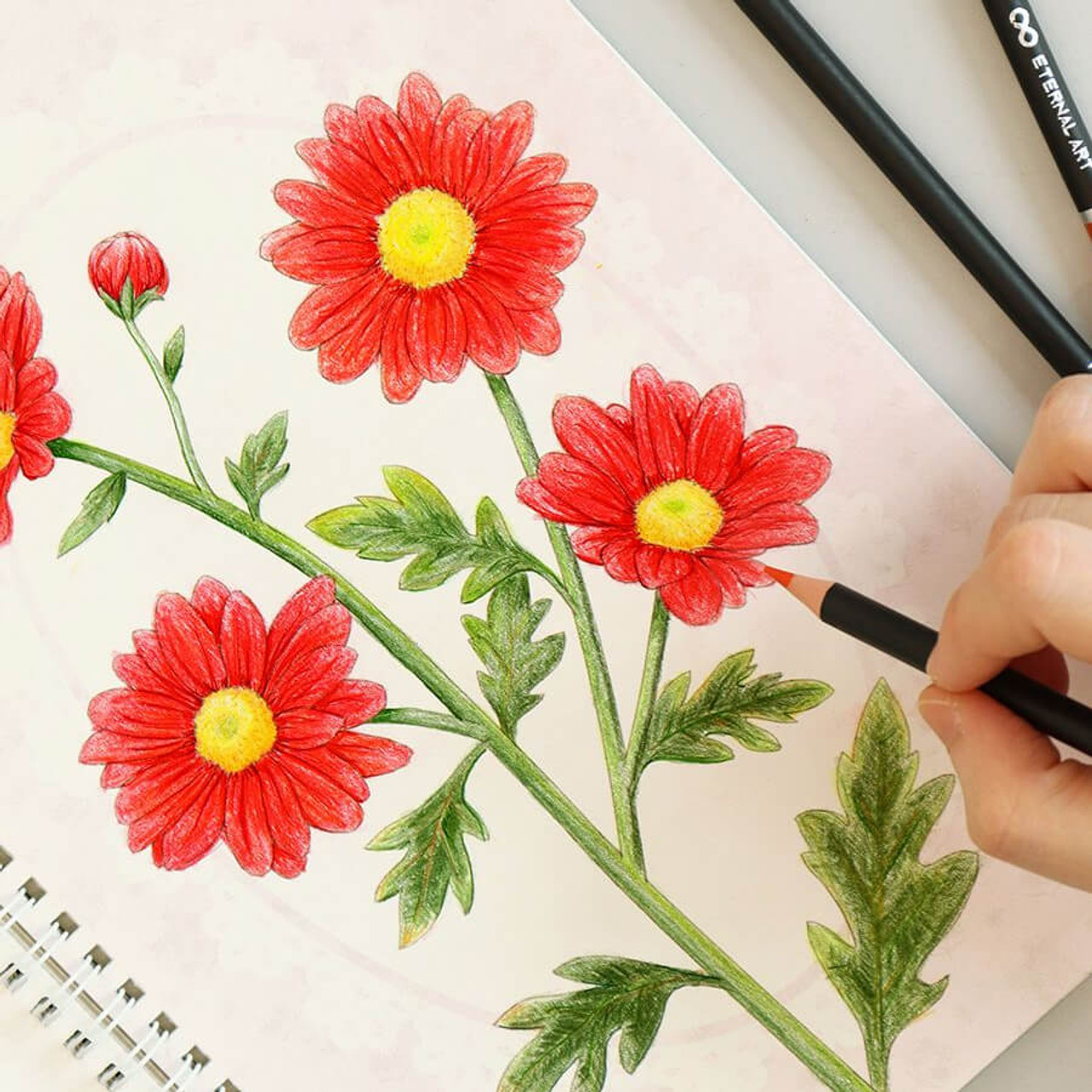 gerbera daisy coloring pages