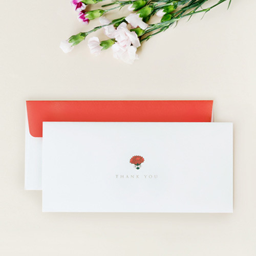 Dash and Dot Blossom Ribbon thank you envelope set - fallindesign