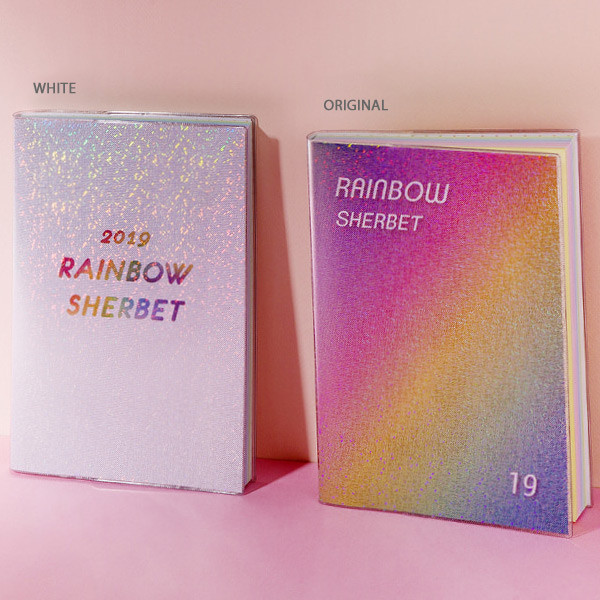 Ardium 2019 Rainbow sherbet dated daily diary agenda planner