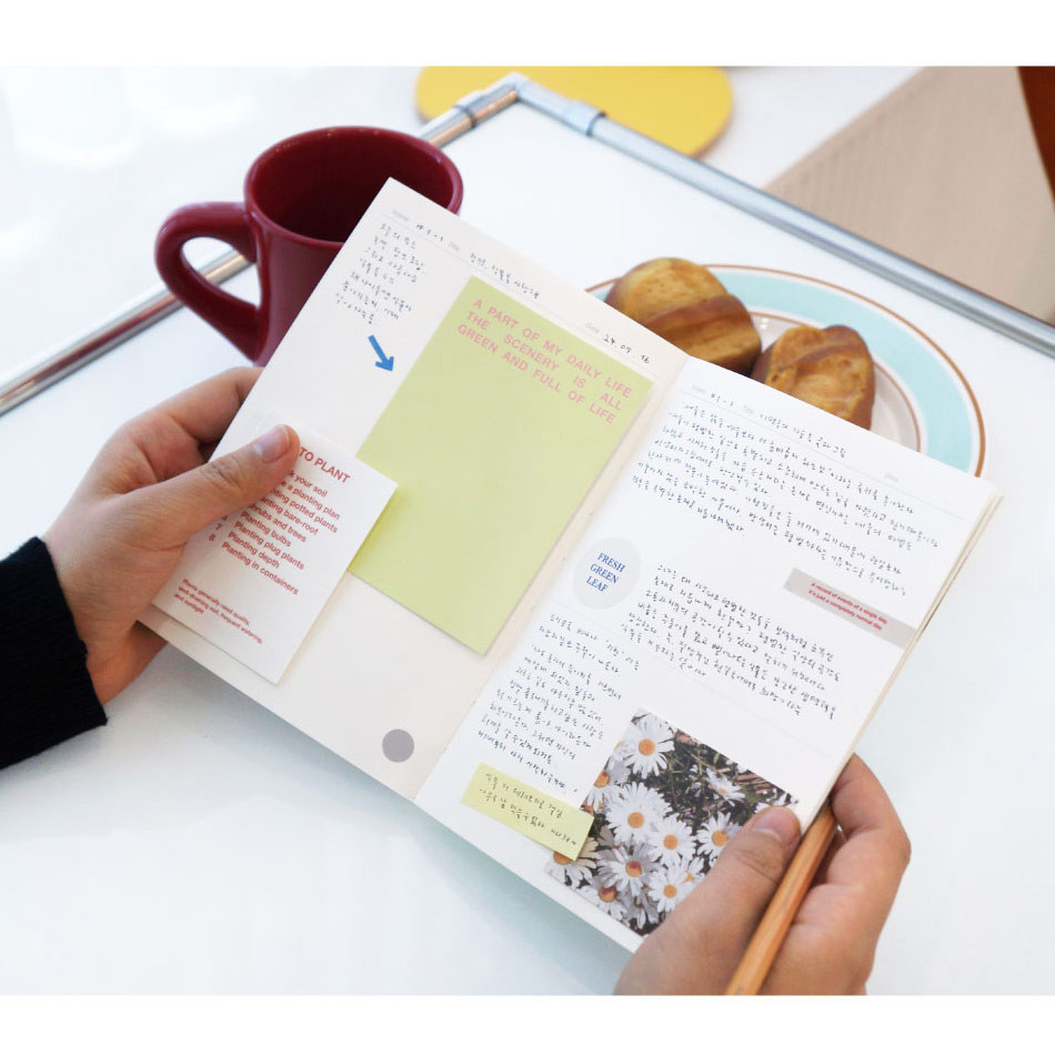 O-Check Simple Edit Dateless Daily Diary Journal