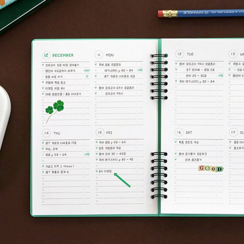 ICONIC Daily A5 Checklist Undated Daily Planner