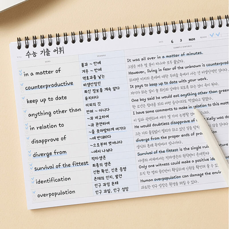 Extensive B5 Example Sentence Vocabulary Notepad