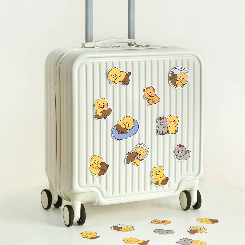Kakao Friends Big Choonsik Ordinary Removable Sticker Pack