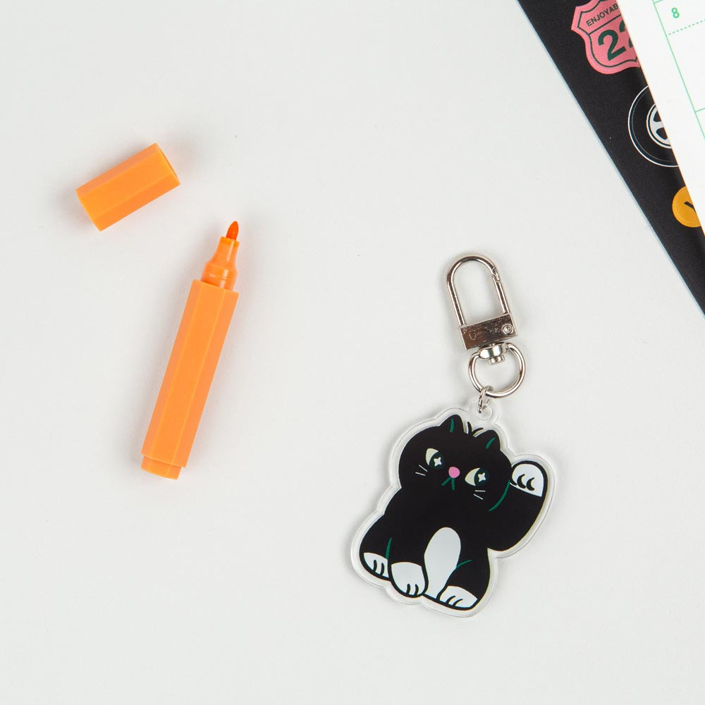 All New Frame Luc-ky Cat Acrylic Keyring: Purr-fect Accessory
