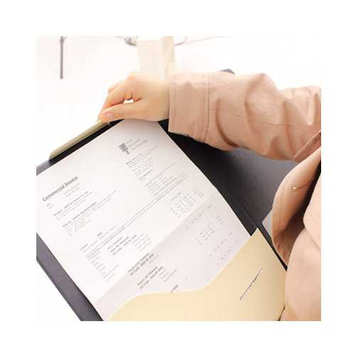 Fenice Link the mind daily folding file folder case - fallindesign