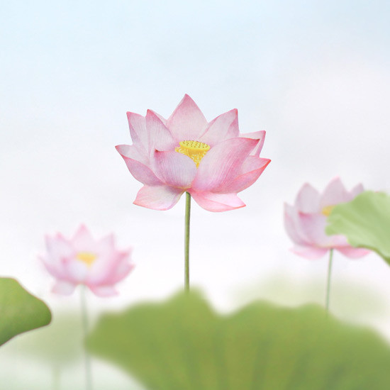 Appree Lotus Large sticky memo notes - Fallindesign.com