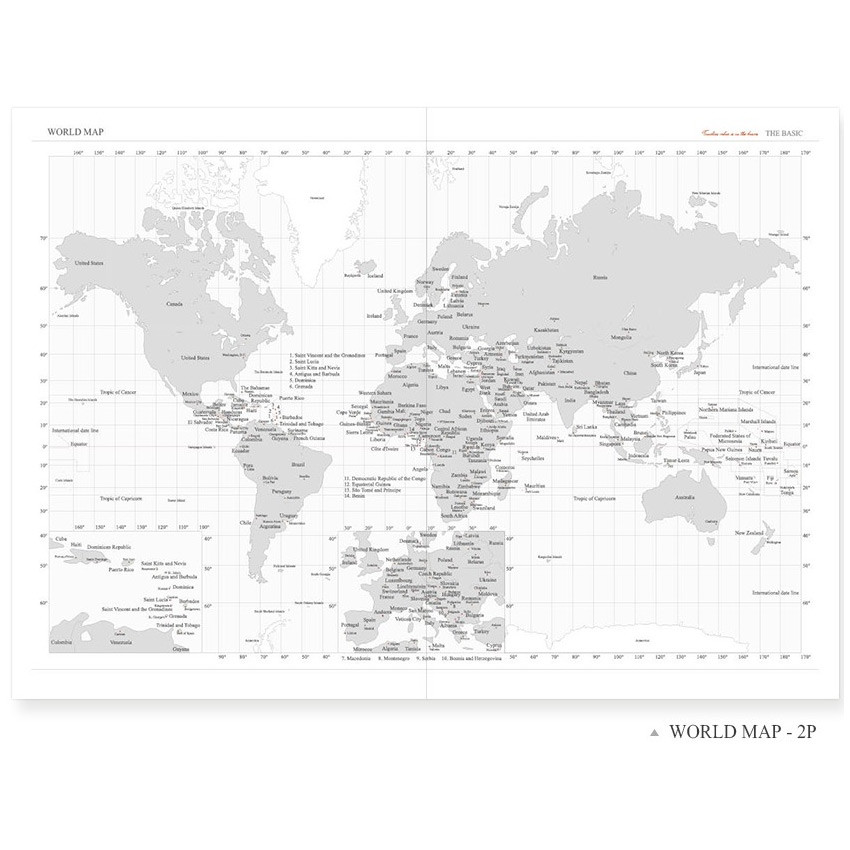 Indigo 2019 The Basic official large dated monthly planner agenda