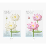 Appree Lotus medium sticky memo notes - Fallindesign.com