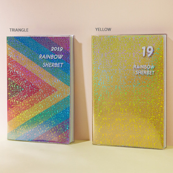 Ardium 2019 Rainbow sherbet dated daily diary agenda planner