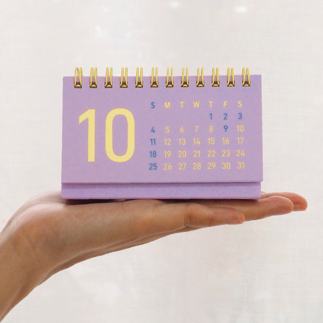 Rihoon 2020 Under monitor small monthly desk calendar