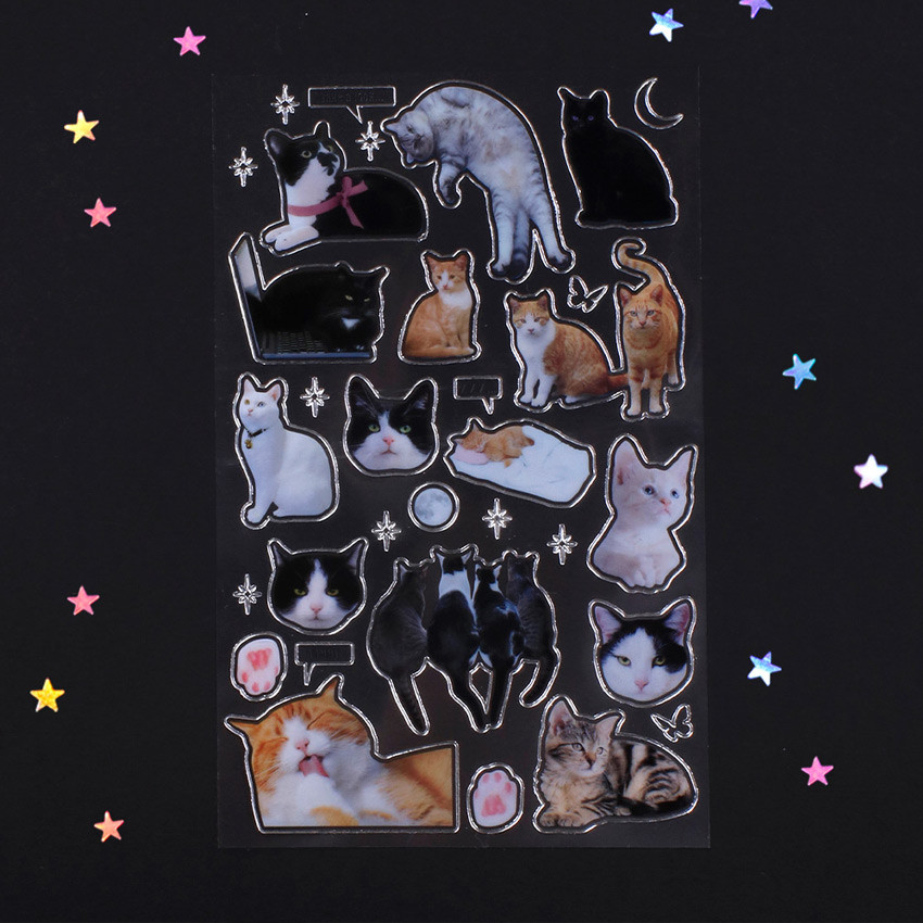 After The Rain Silver line street cat club deco sticker