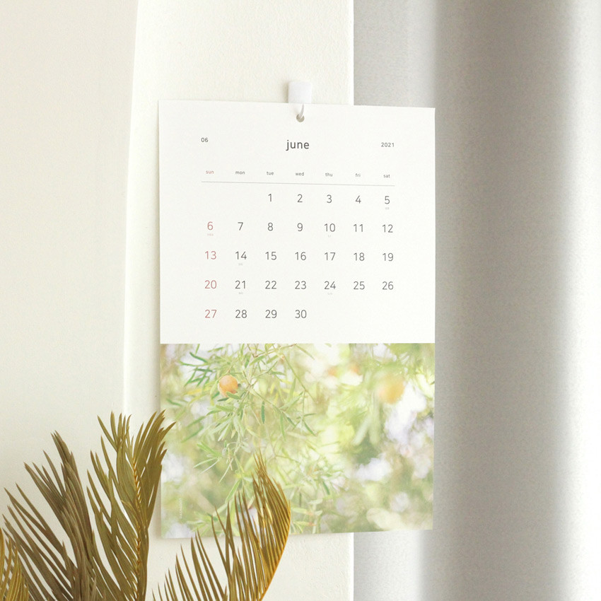 Dash and Dot 2021 Slow life monthly wall calendar