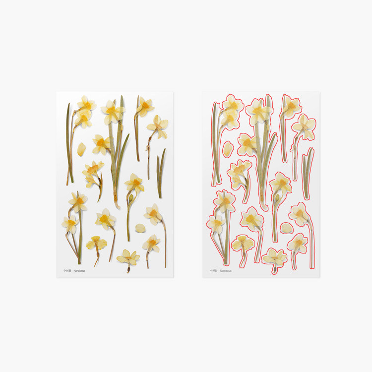 Appree Bigleaf hydrangea pressed flower sticker