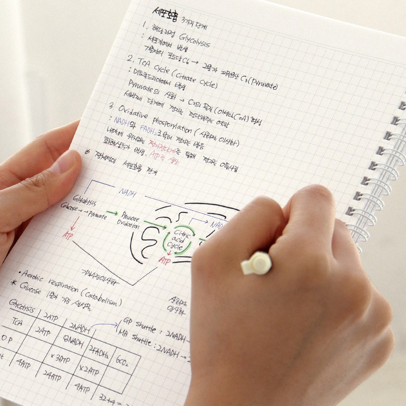 Indigo Prism 56 spiral bound B5 grid notebook