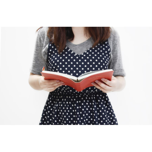 2015 Iconic Colette vintage pattern dated diary scheduler