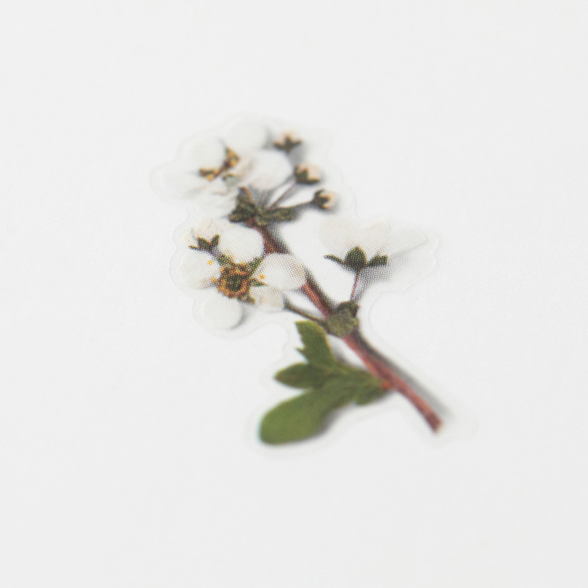 Appree Geranium press flower deco sticker | Papercrafts