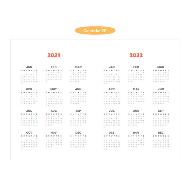 Dailylike 2021 My Buddy dated weekly diary planner