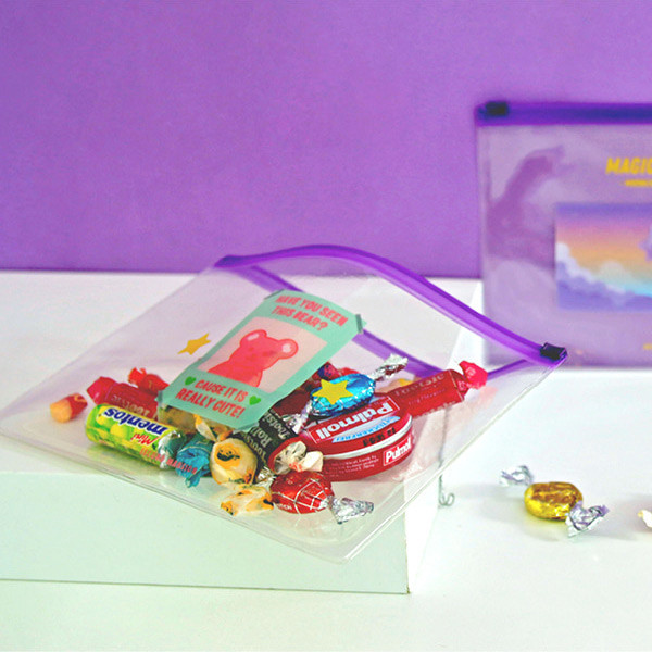 Second Mansion Retro mood clear PVC zip slide pouch
