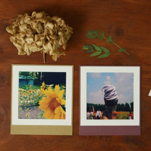 Moods&Views Color standing paper photo frame set - fallindesign