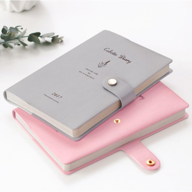 2017 Iconic Colette vintage pattern dated diary scheduler