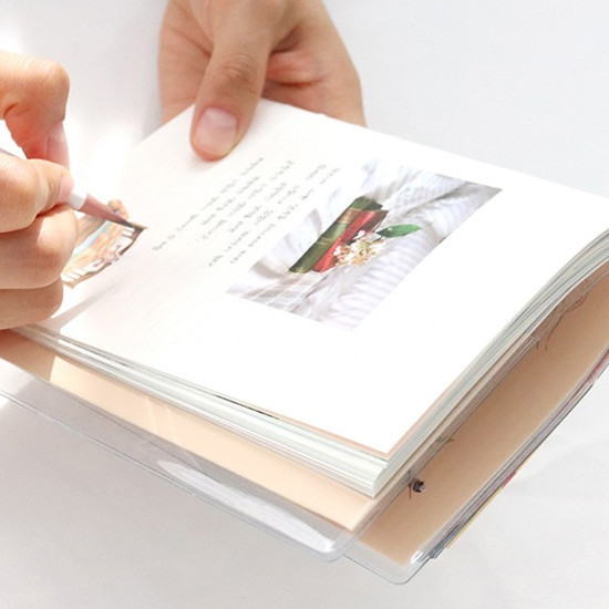 Classic dateless monthly diary - Anne and Daddy long legs