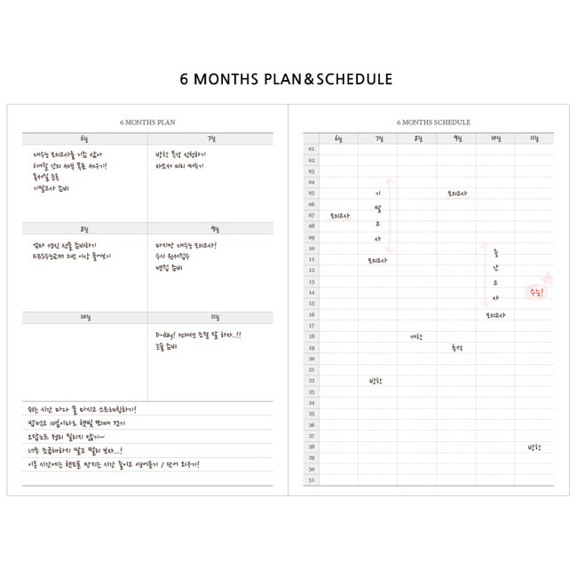 O-CHECK Spring come dateless 6 month study planner